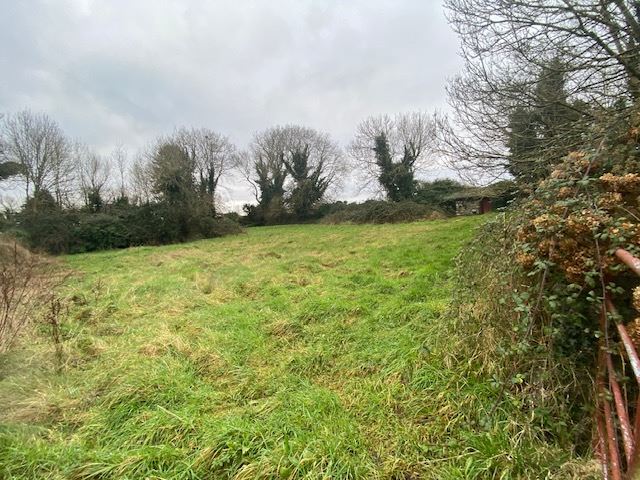 A farmhouse just waiting to be spruced up | MyHome.ie